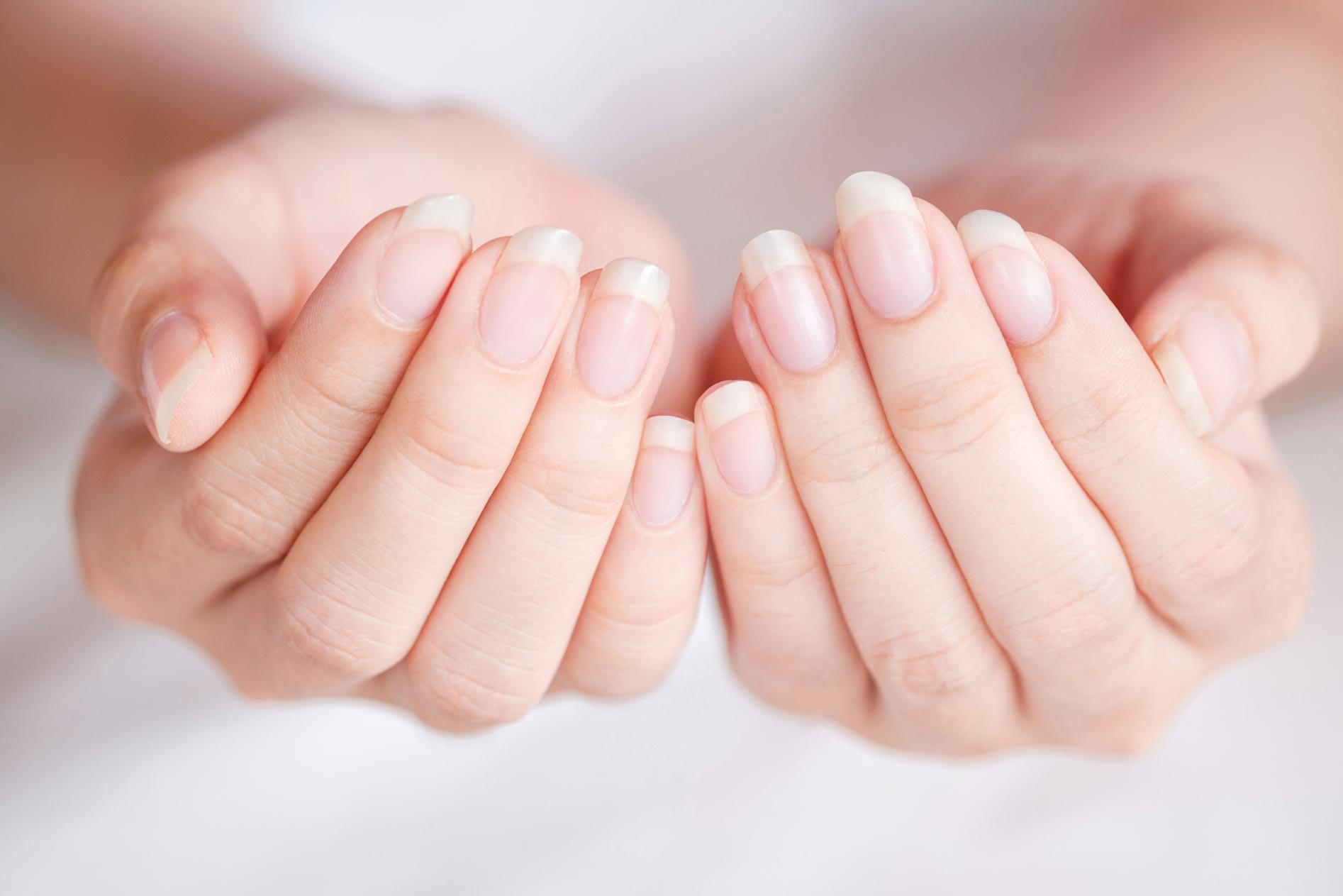 Top Rated Manicure in Pittsburgh - Lotus Nail Studio